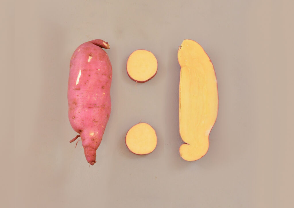 All Varieties - Sweetpotato Catalogue