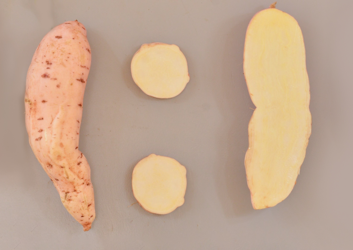 CRI-Ligri - Sweetpotato Catalogue