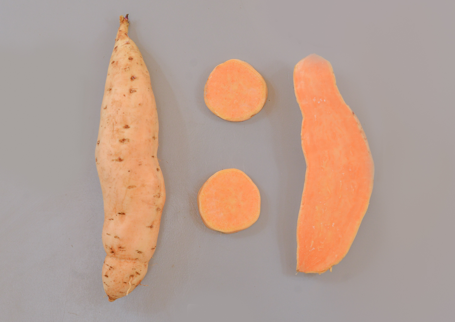 Chipika - Sweetpotato Catalogue