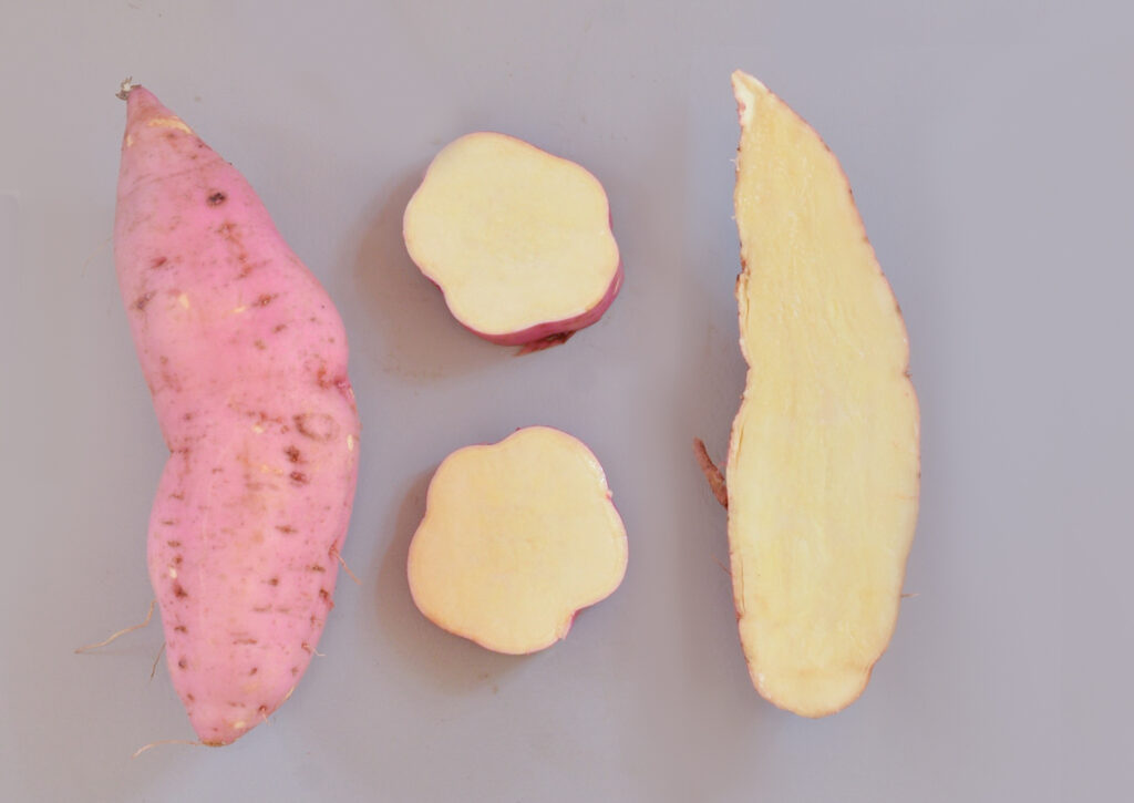 All Varieties - Sweetpotato Catalogue