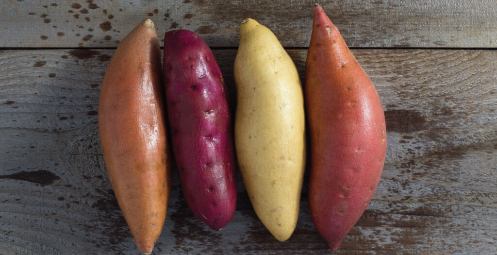 All Varieties - Sweetpotato Catalogue